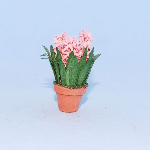 Miniature Hyacinth - Etsy