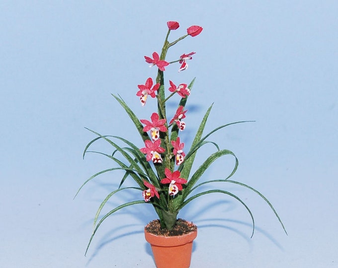 1:12 Scale 1 Inch Scale Miniature-cymbidium Orchid - Etsy