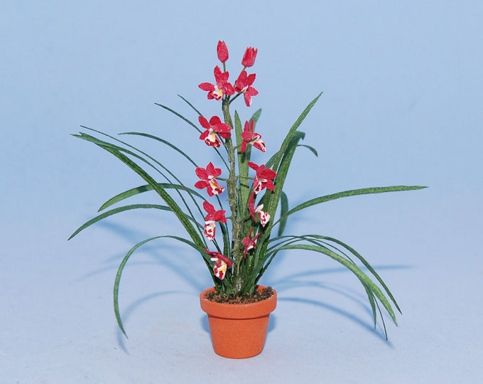 1:12 Scale 1 Inch Scale Miniature-cymbidium Orchid - Etsy
