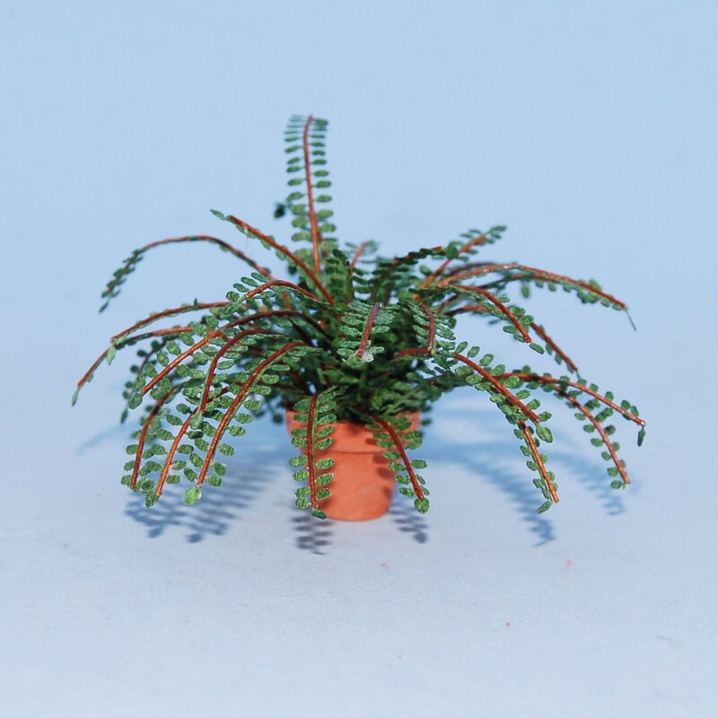 Miniature Fern - Etsy