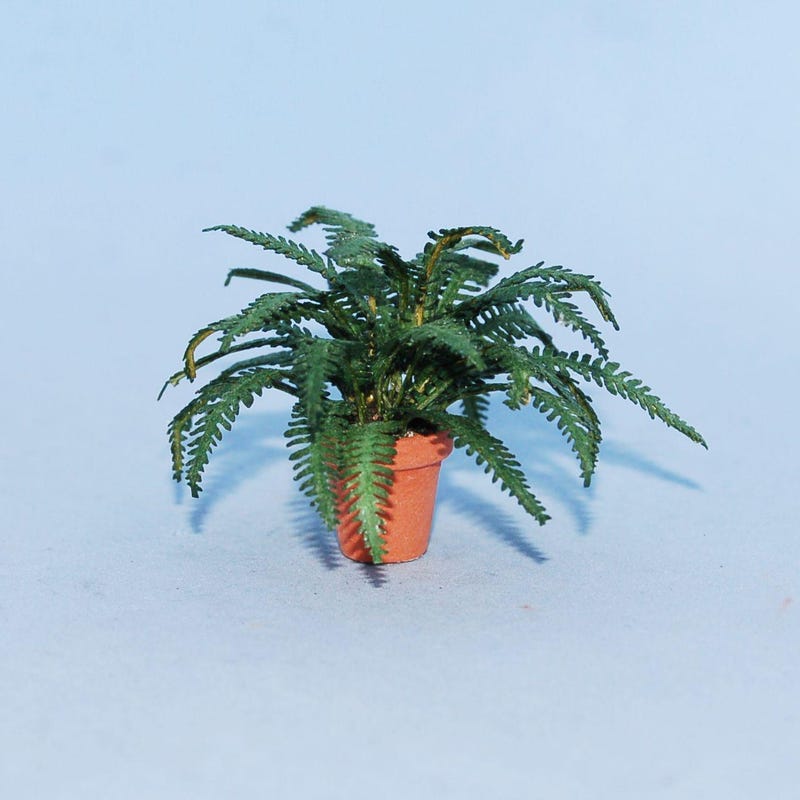 Miniature Ferns - Etsy