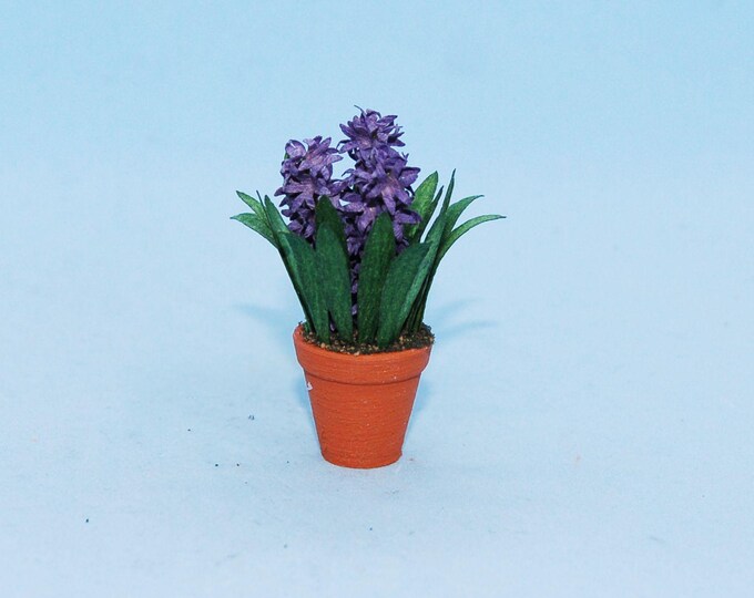 1:12 Scale * 1 Inch Scale Miniature-hyacinth - Etsy