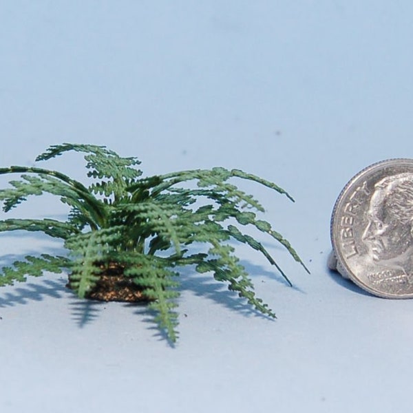 Miniature Fern - Etsy