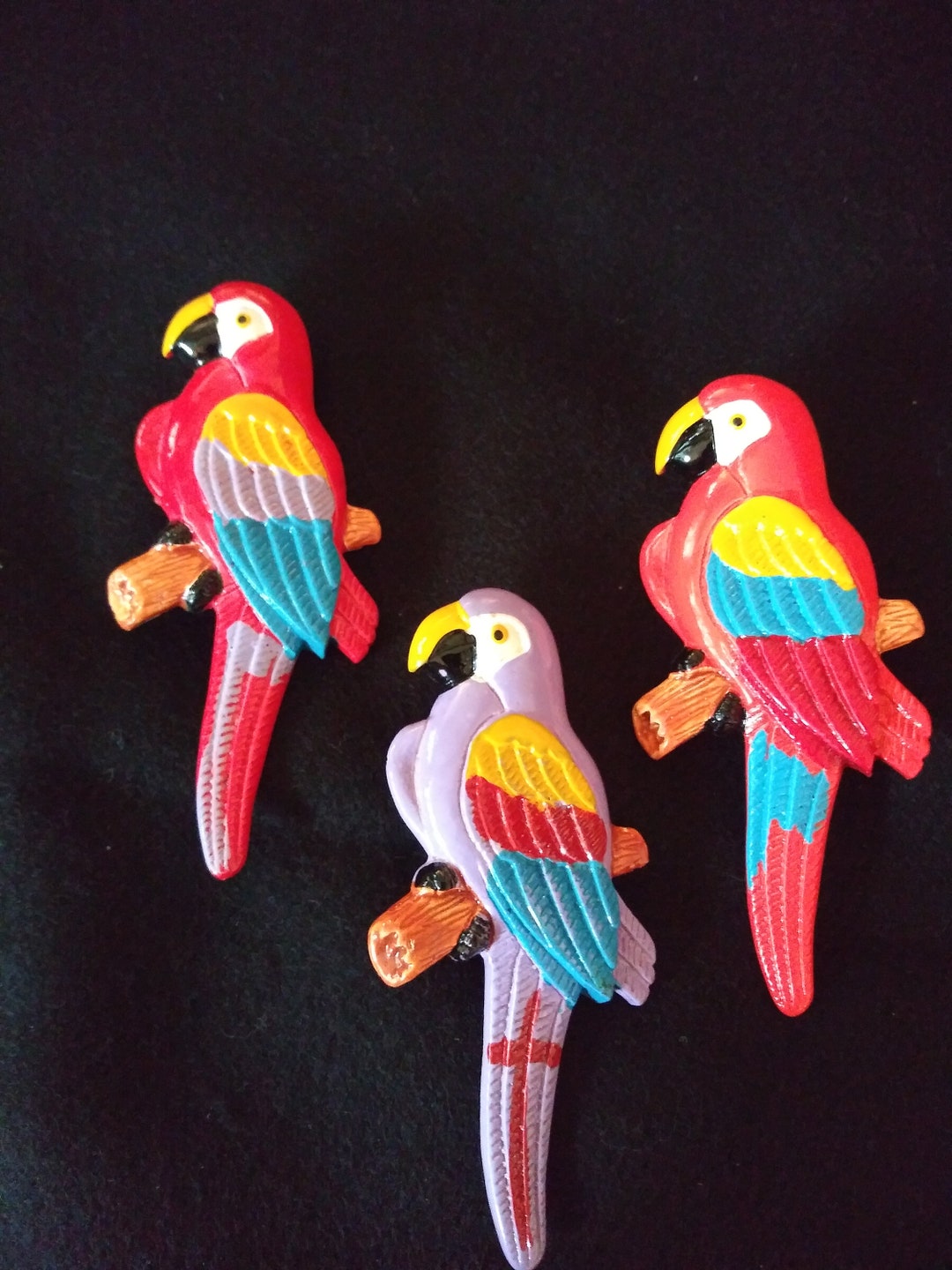 PARROT Pins Set of 3 Wood or Resin Handpainted Over 3" Birds Amazon ...