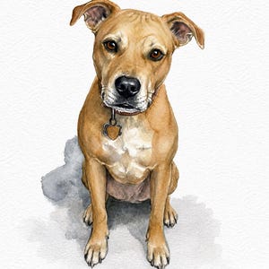 Custom Pet Portrait, Watercolor Dog Painting, Personalized Gift - Etsy