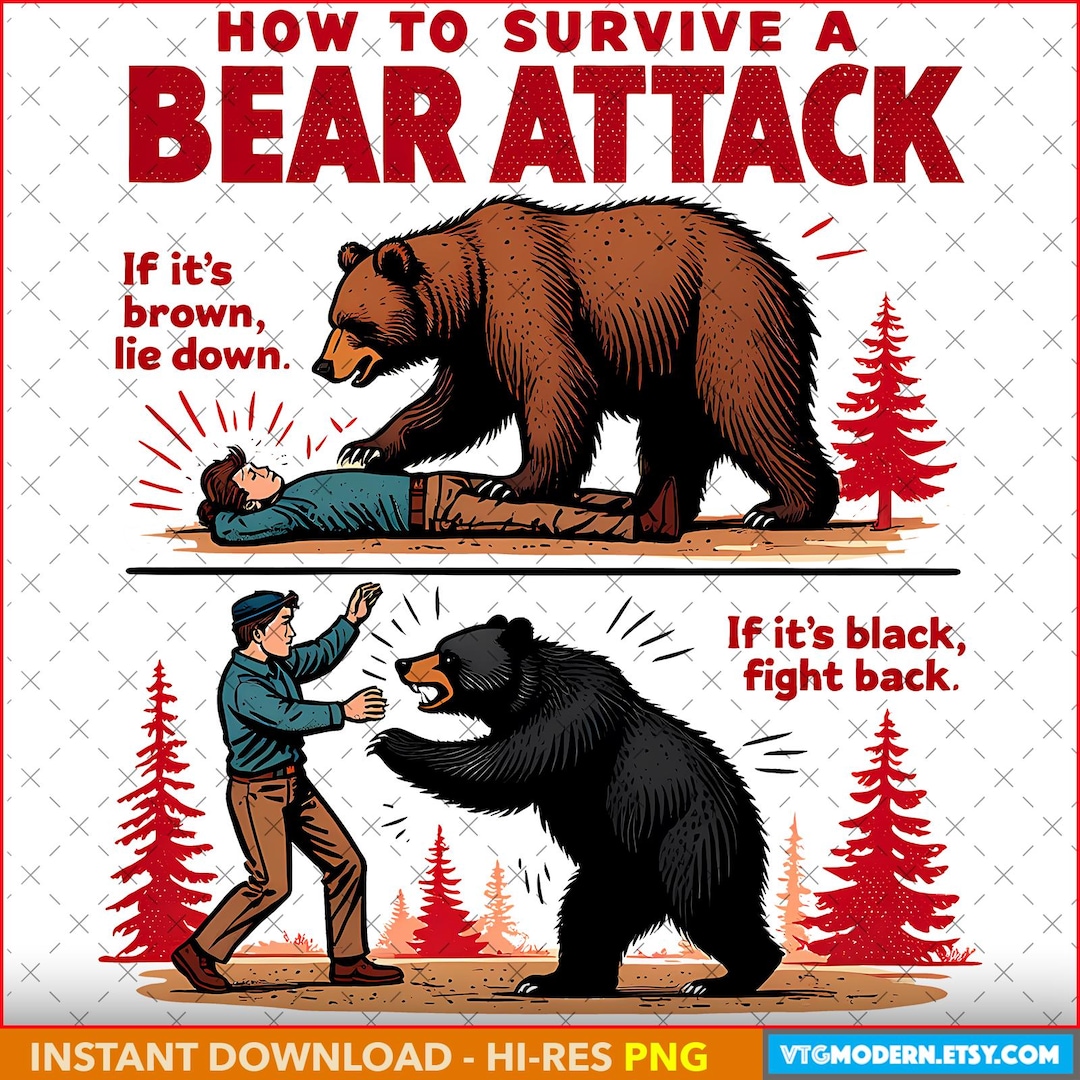 PNG Bear Attack Survival Bear Attacks If It's Brown, Lie Down. If It's ...