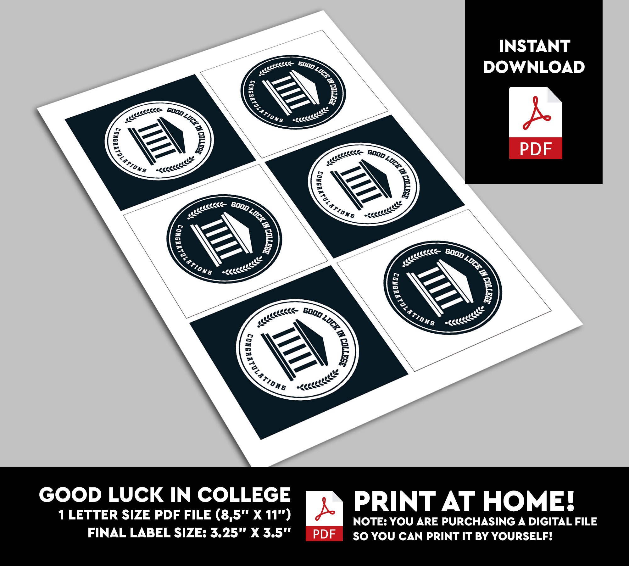 Good Luck in College Beer Labels: University Student Gift (PDF) - Etsy