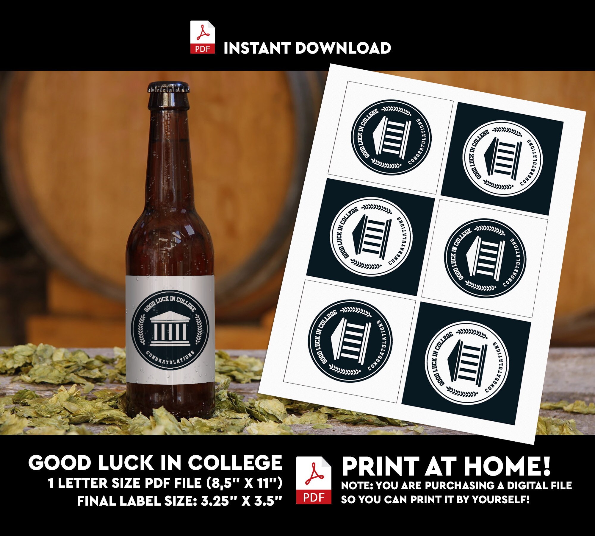 Good Luck in College Beer Labels: University Student Gift (PDF) - Etsy