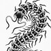 Centipede, Traditional Tattoo Flash, Black and White, Old School, Art ...