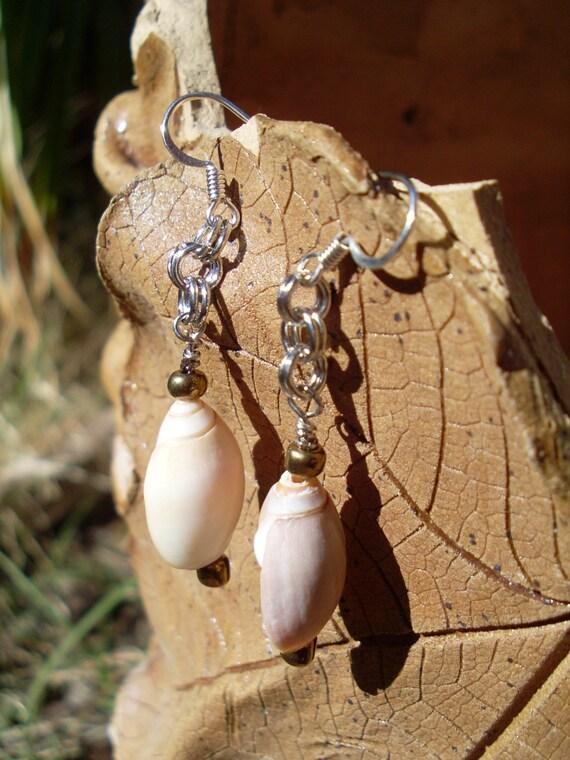 Items similar to Spiral Shell Earrings on Etsy