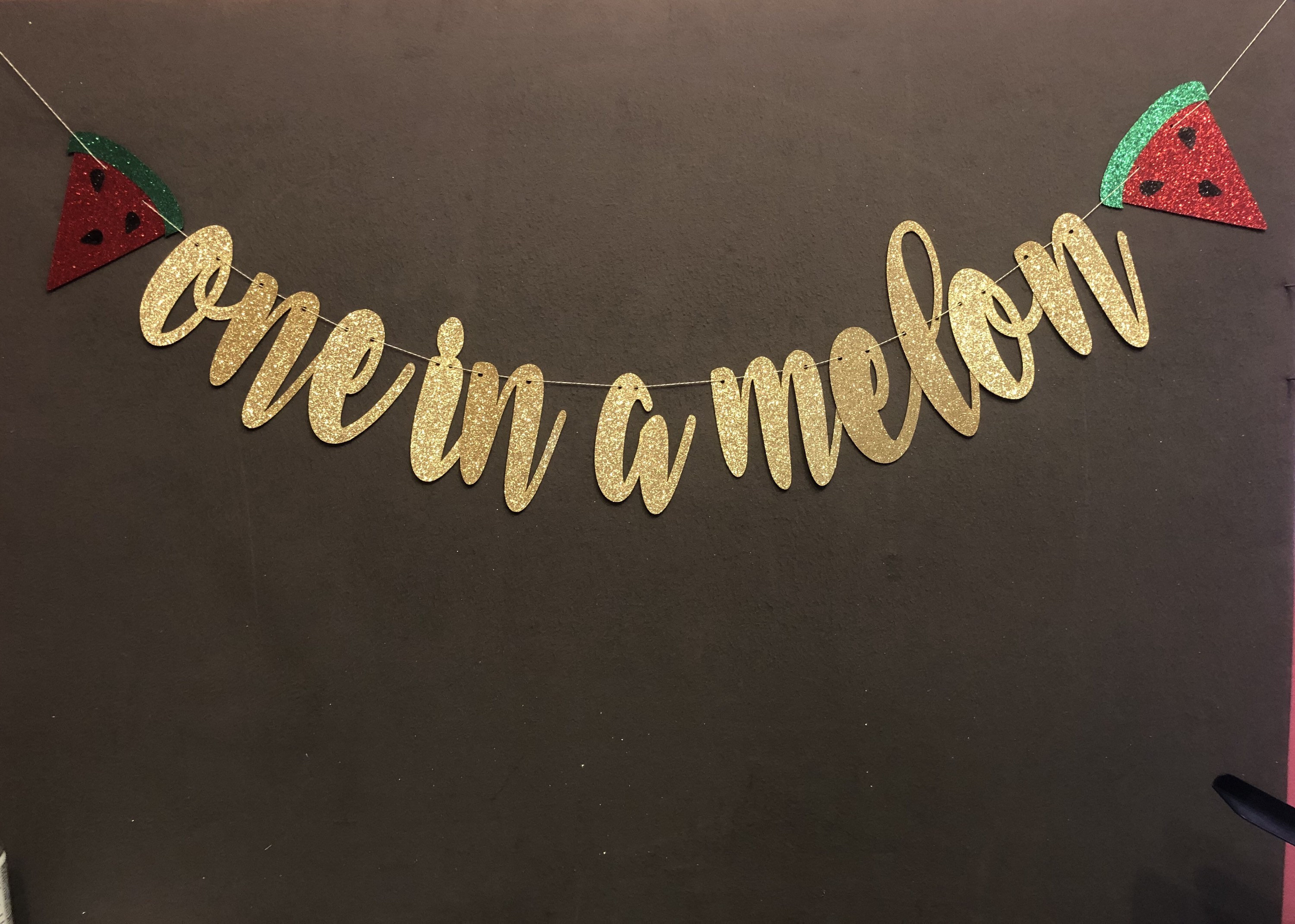 One in a Melon Banner 1st Birthday Banner First Birthday - Etsy