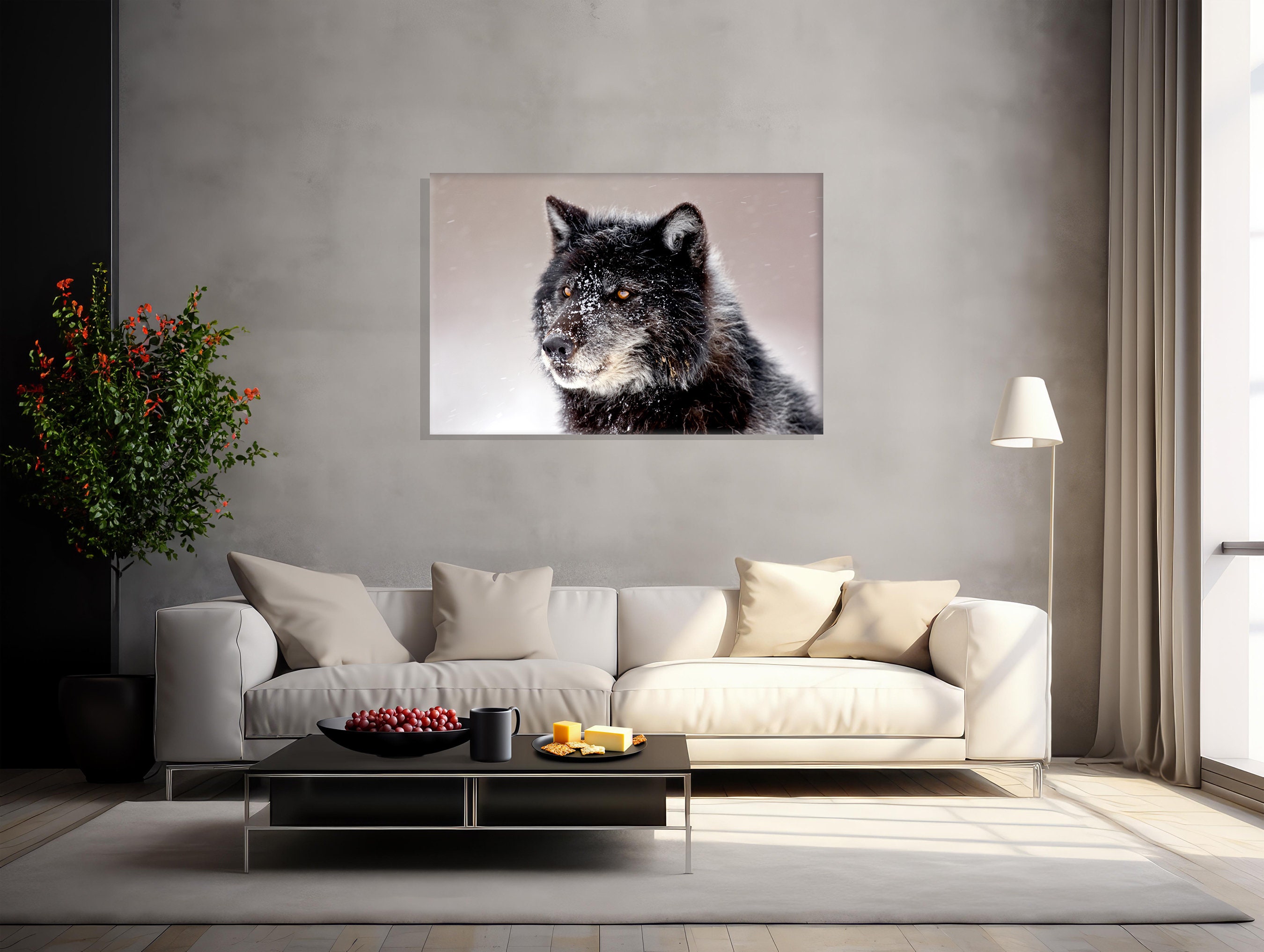 Black Wolf “survivor”, Alaskan Wolf, Wildlife Photography, Wolf in Snow ...