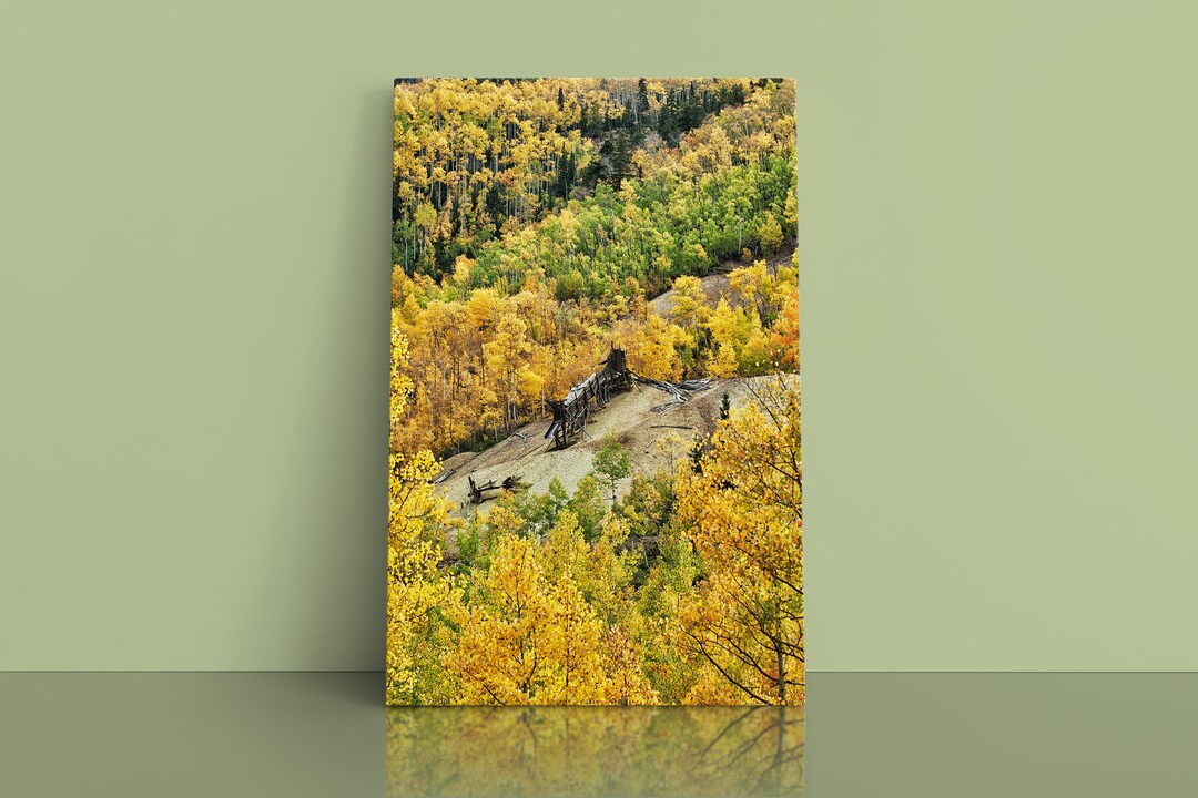 Old Mine in Aspens, Gold Mine, Gold Mine Colorado, Fall in Colorado ...
