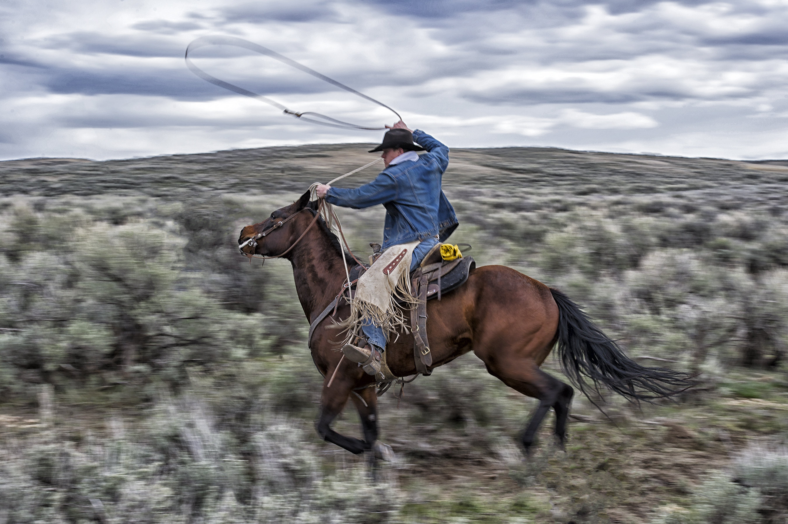 Roping Cowboy, David Bolin, Cowboy Art, Western Art, Hanging Valley ...