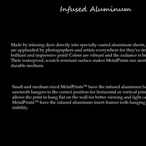 Grizzly Bear, Grizzly in the Fall, Yellowstone Grizzly, Wildlife ...