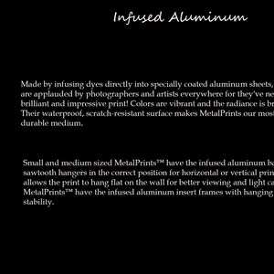 Cowgirl, David Bolin, Cowgirl Art, Western Art, Hanging Valley, Cowgirl ...