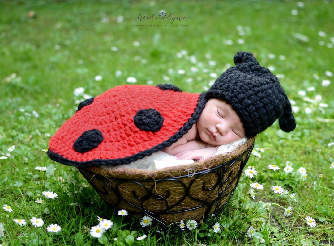 Ladybug Newborn Set Photo Prop Crochet Pattern, Ladybug Blanket ...