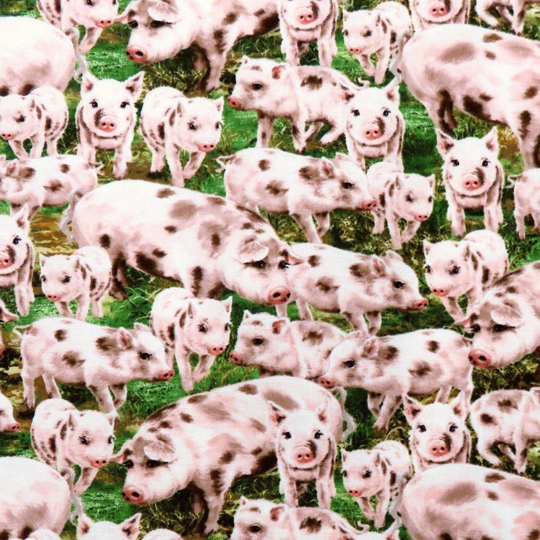 Farm Life C8338 Farm Animals Multi Pigs for Timeless Treasures - Etsy