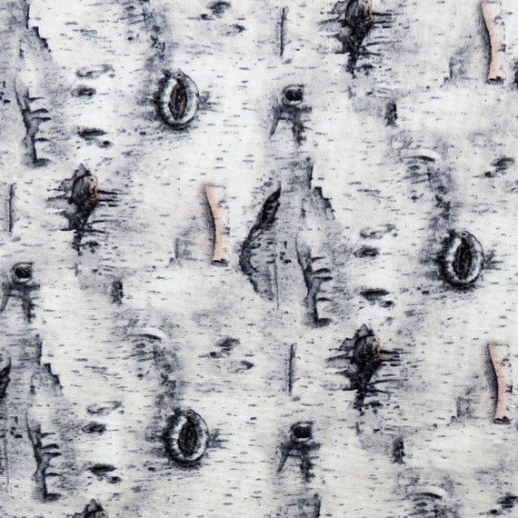 Grey Birch Tree Wood Texture Elizabeth's Studio 8551 - Etsy