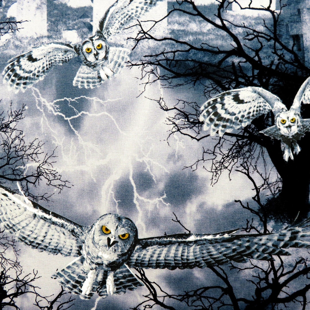 Owls in the Graveyard Wicked Fog Timeless Treasures by the 1/2 Yard ...