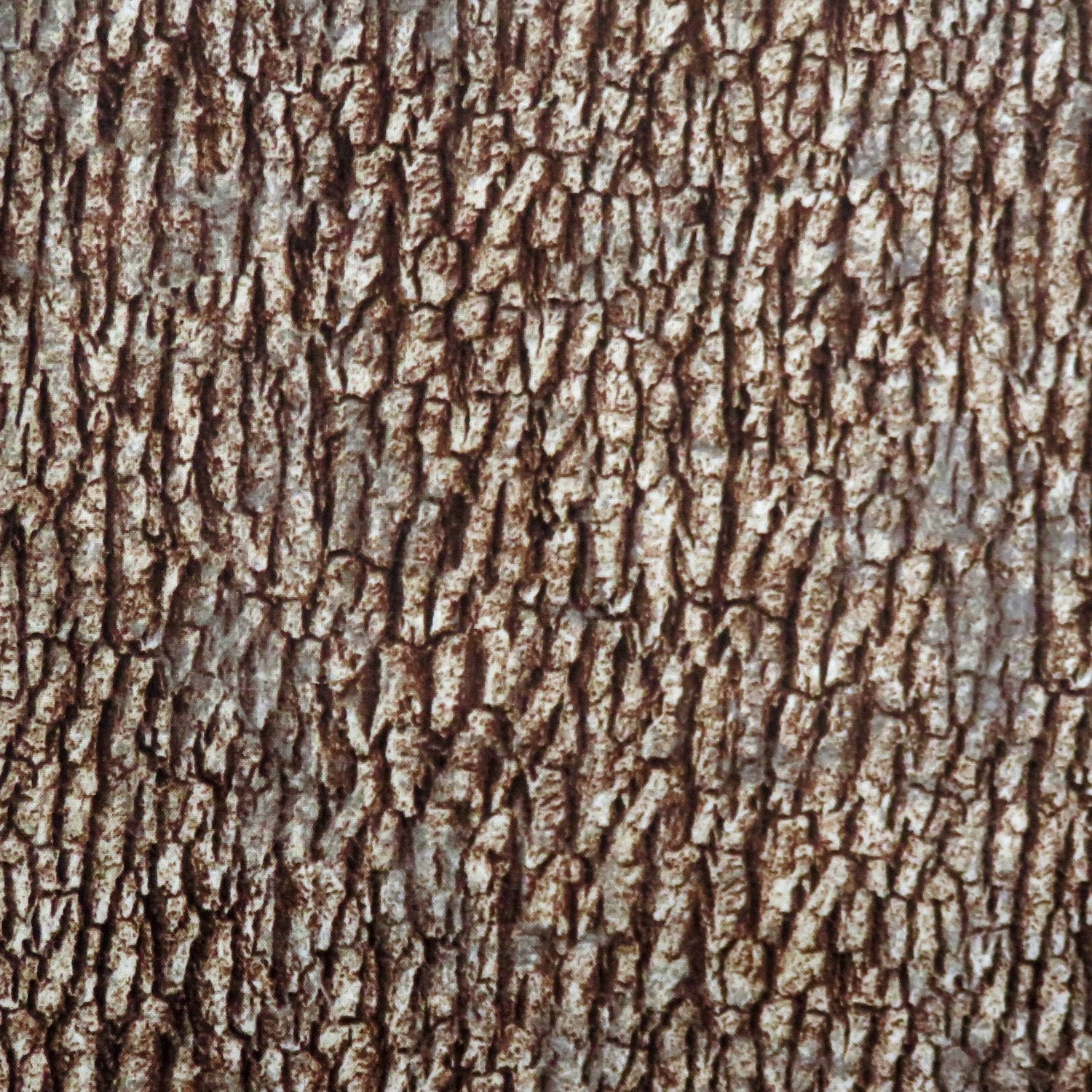 Tree Bark Pattern Fabric