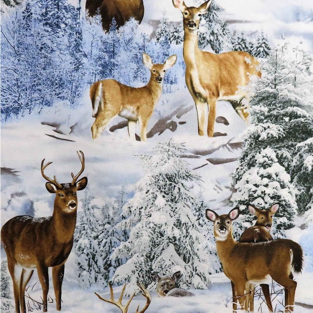 North American Wildlife 212-white Deer Winter Scenic for Elizabeth's ...