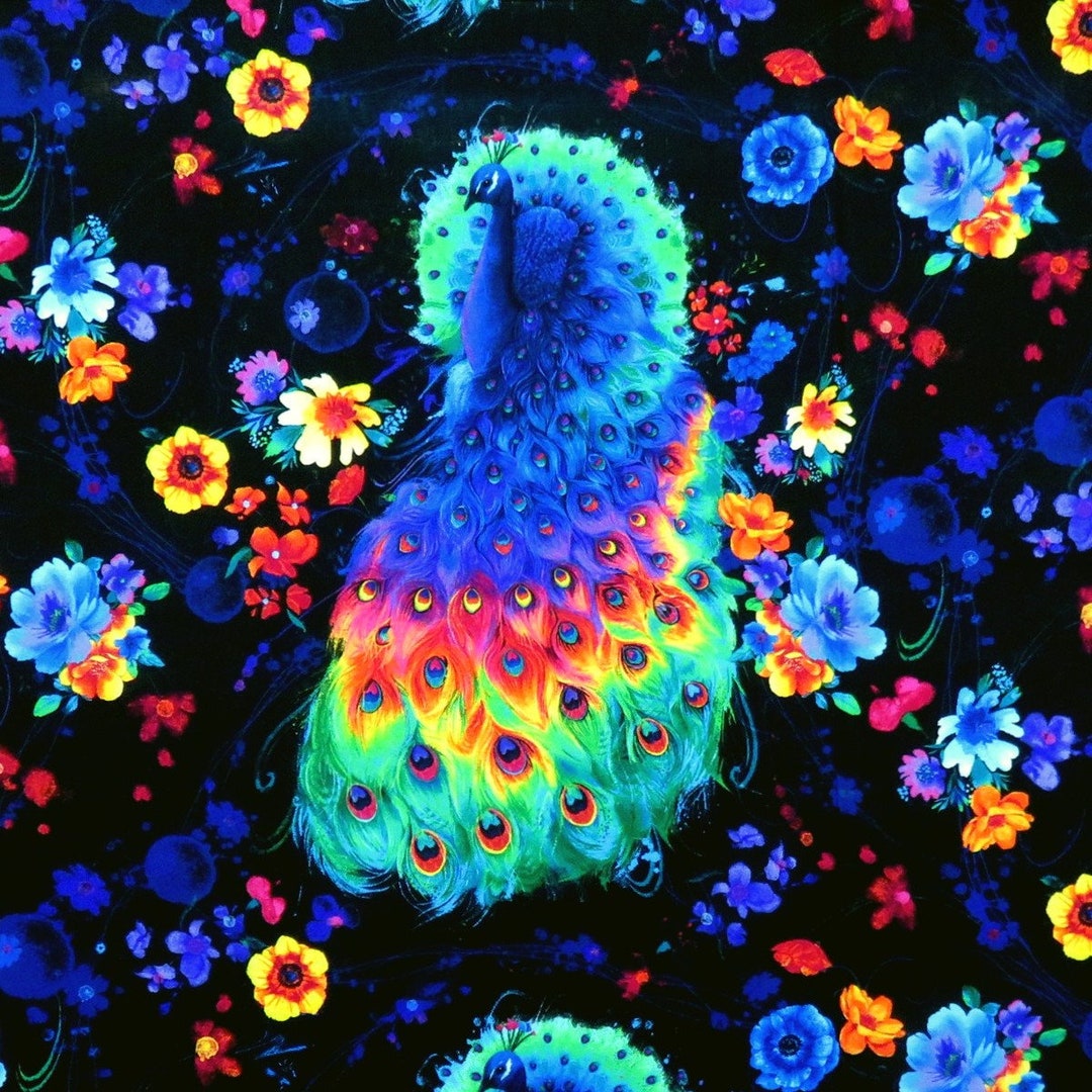 Glow Plume C8412 Rainbow Peacocks and Flowers Black for Timeless ...