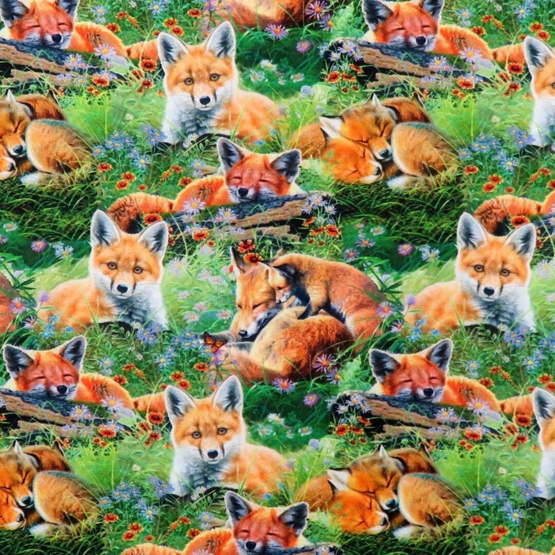 Mountain Sunrise 20174 Green Sleepy Foxes Scenic for 3 Wishes Fabric - Etsy