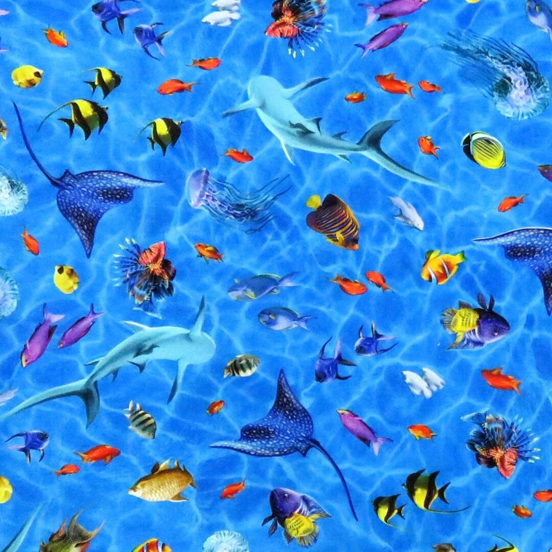 Treasures at Sea 29921-B Spaced Sea Life for QT Fabrics - Etsy