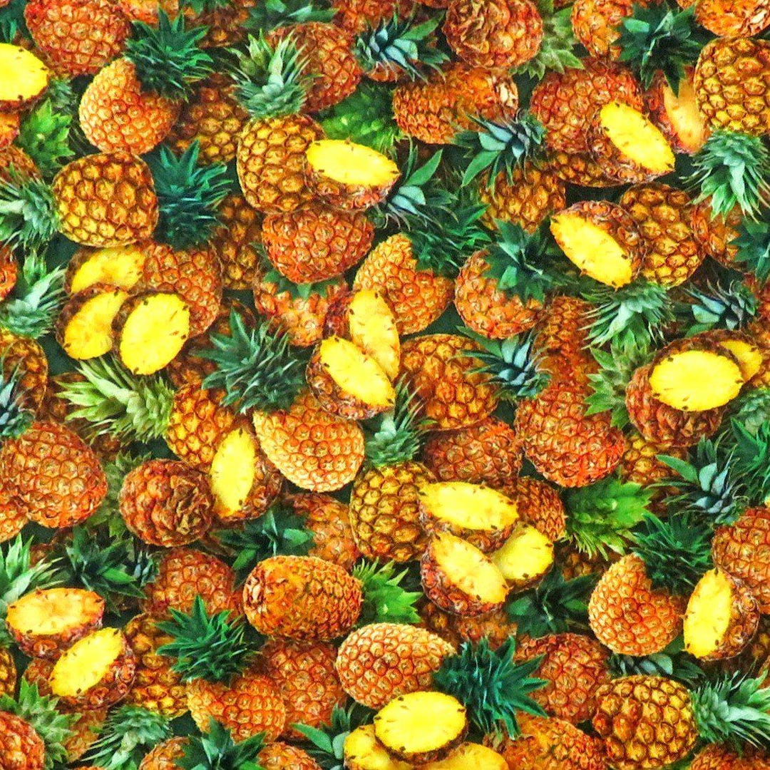Fresh Pineapple 28462-AS Fruit Food by Dan Morris for QT Fabrics - Etsy