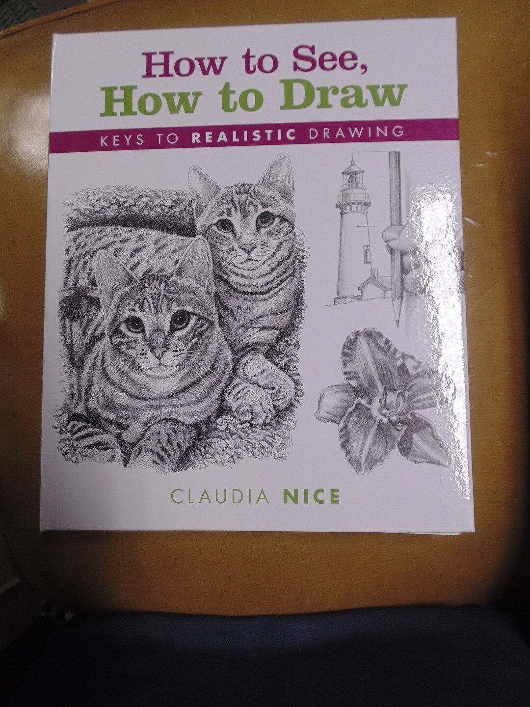 How to See, How to Draw, Keys to Realistic Drawing, Claudia Nice - Etsy