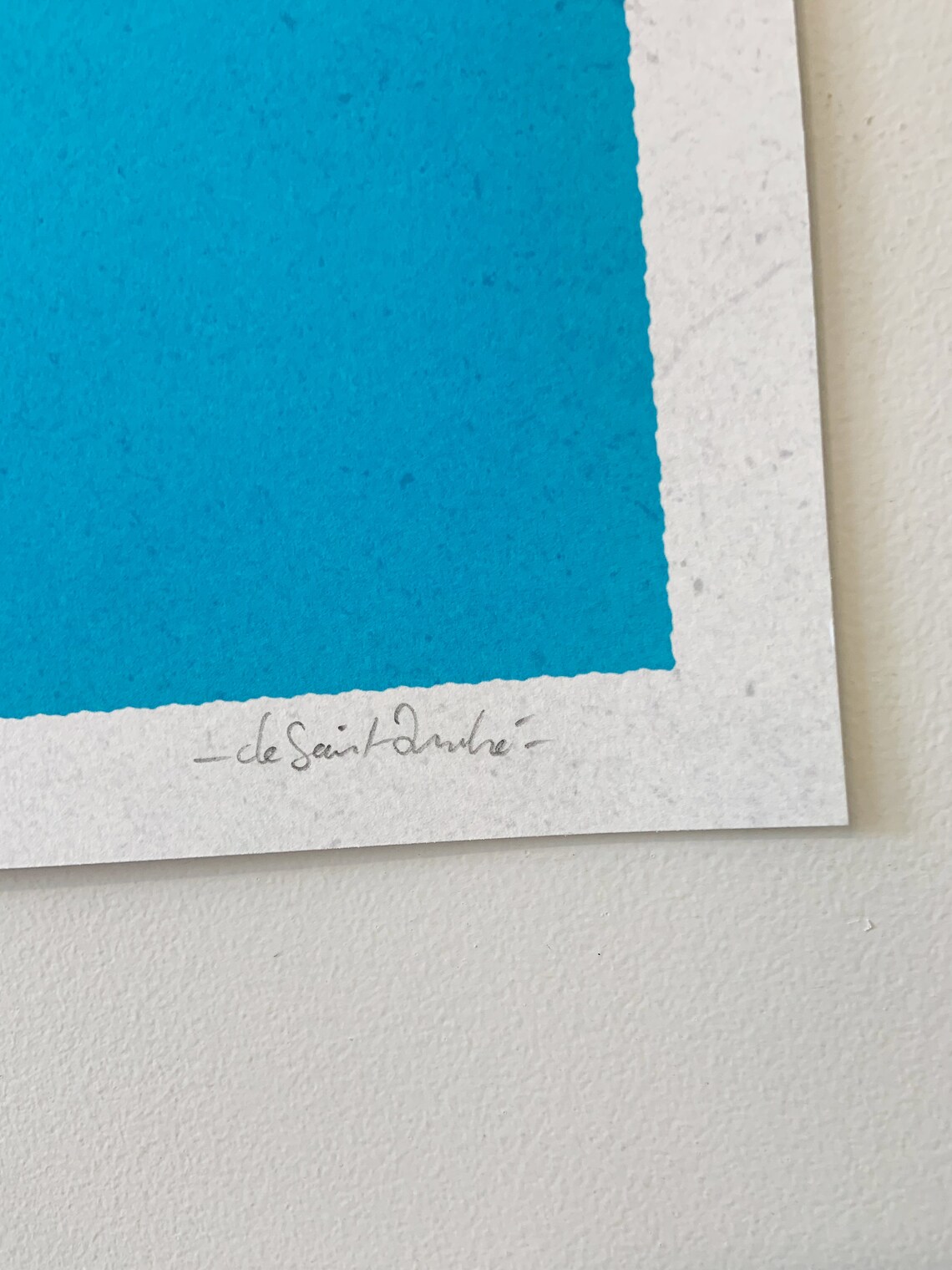 Luna Moth Poster - Etsy