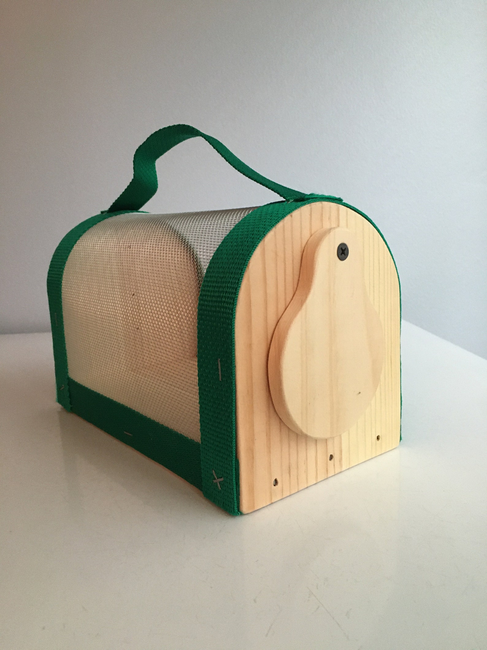 Handmade Insect Bug Wooden Box Green Outdoor Exploration - Etsy