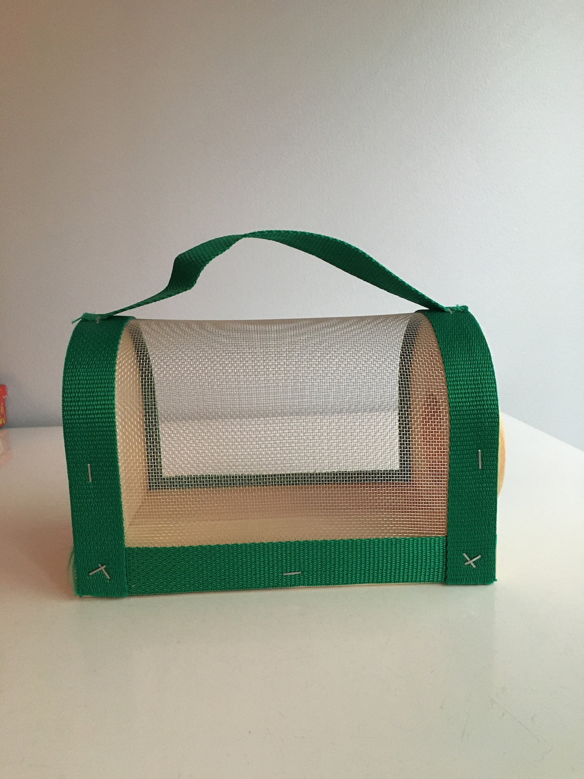 Handmade Insect Bug Wooden Box Green Outdoor Exploration - Etsy