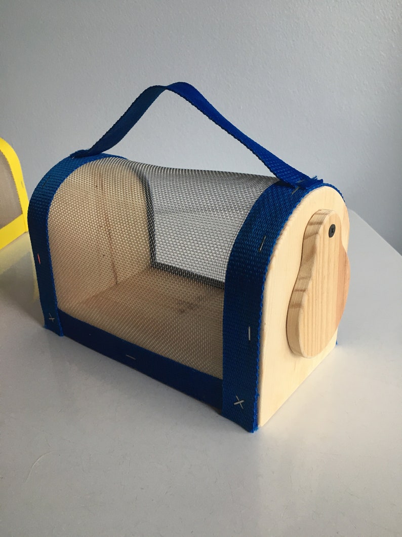 Handmade Insect Bug Wooden Box Outdoor Exploration Yellow Blue - Etsy