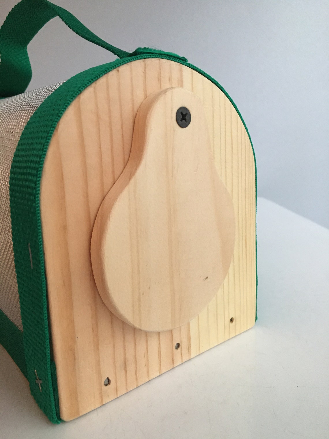 Handmade Insect Bug Wooden Box Green Outdoor Exploration - Etsy