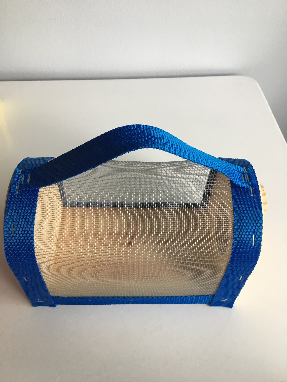 Handmade Insect Bug Wooden Box Outdoor Exploration Yellow Blue - Etsy