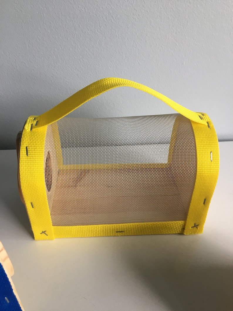 Handmade Insect Bug Wooden Box Outdoor Exploration Yellow Blue - Etsy