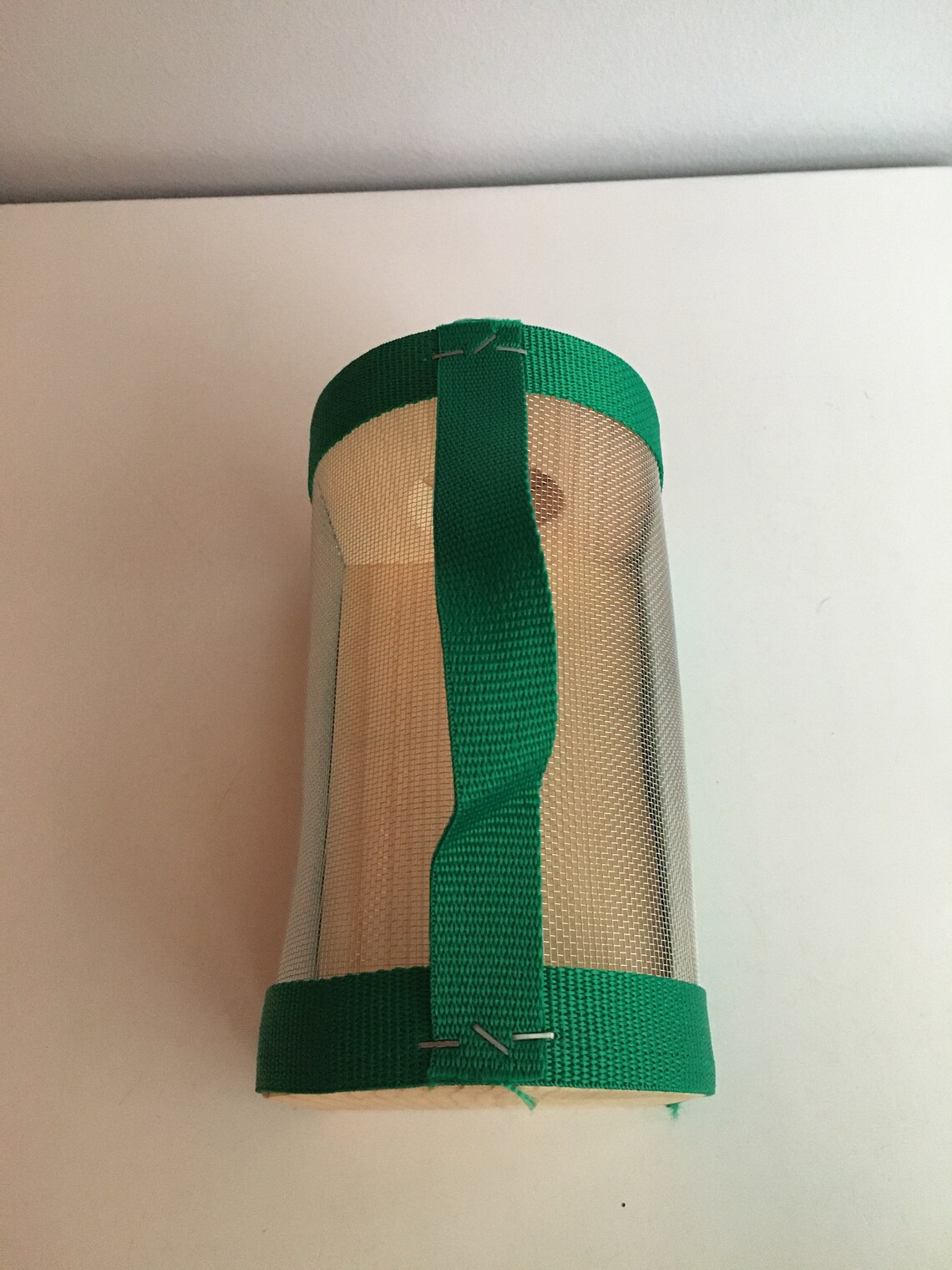 Handmade Insect Bug Wooden Box Green Outdoor Exploration - Etsy