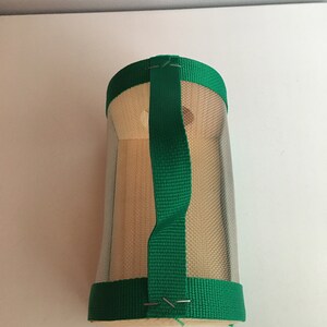 Handmade Insect Bug Wooden Box Green Outdoor Exploration - Etsy