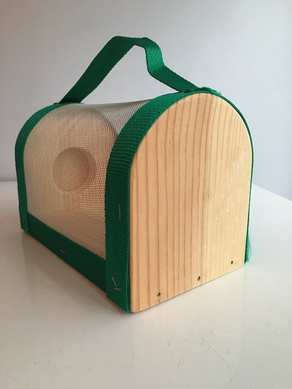 Handmade Insect Bug Wooden Box Green Outdoor Exploration - Etsy