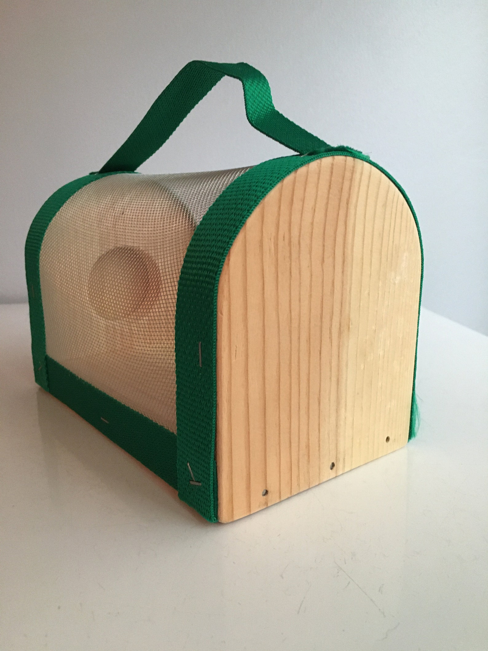 Handmade Insect Bug Wooden Box Green Outdoor Exploration - Etsy