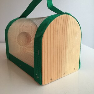 Handmade Insect Bug Wooden Box Green Outdoor Exploration - Etsy