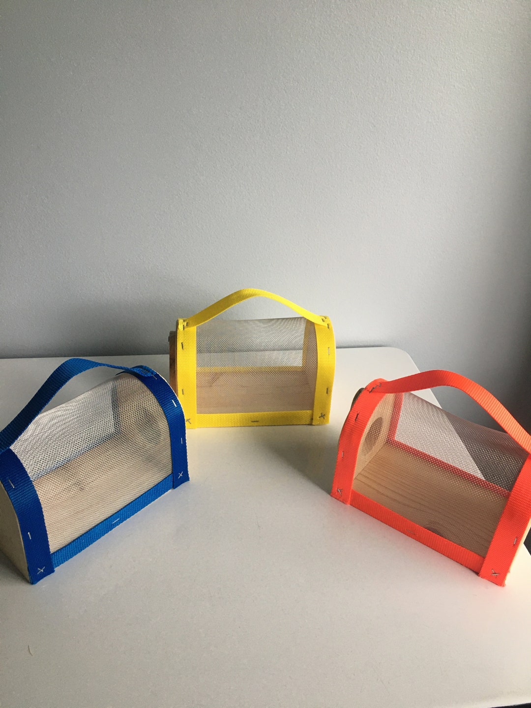 Handmade Insect Bug Wooden Box Outdoor Exploration Yellow Blue Orange ...