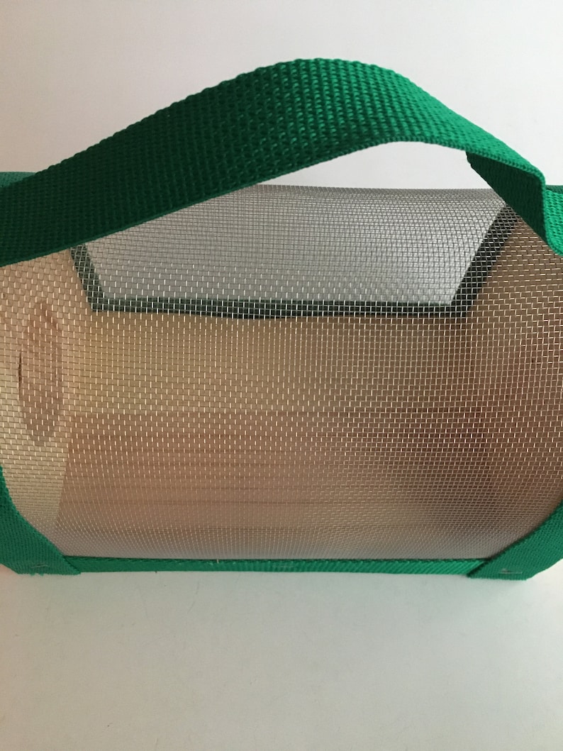 Handmade Insect Bug Wooden Box Green Outdoor Exploration - Etsy