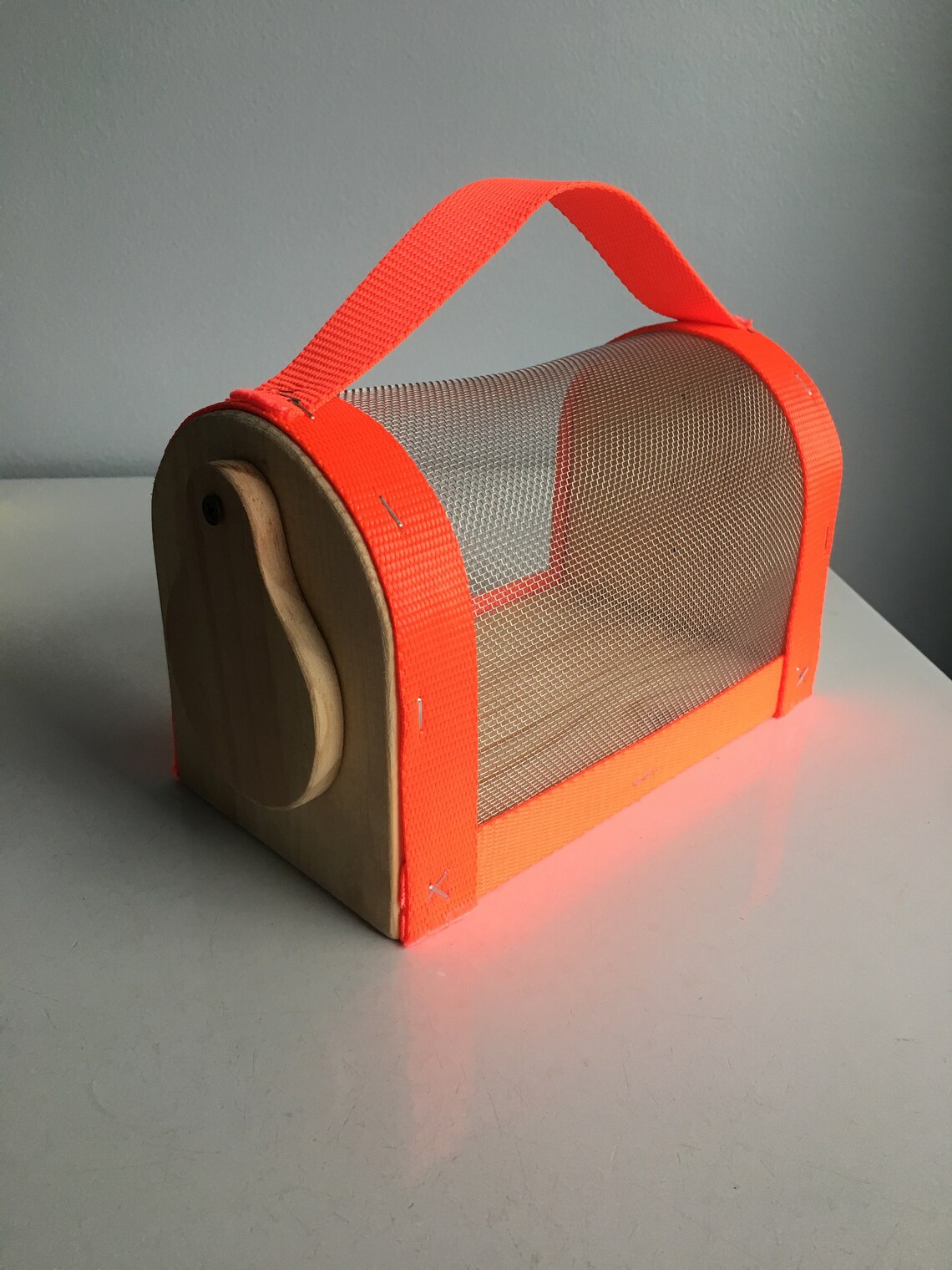 Handmade Insect Bug Wooden Box Outdoor Exploration Yellow Blue - Etsy