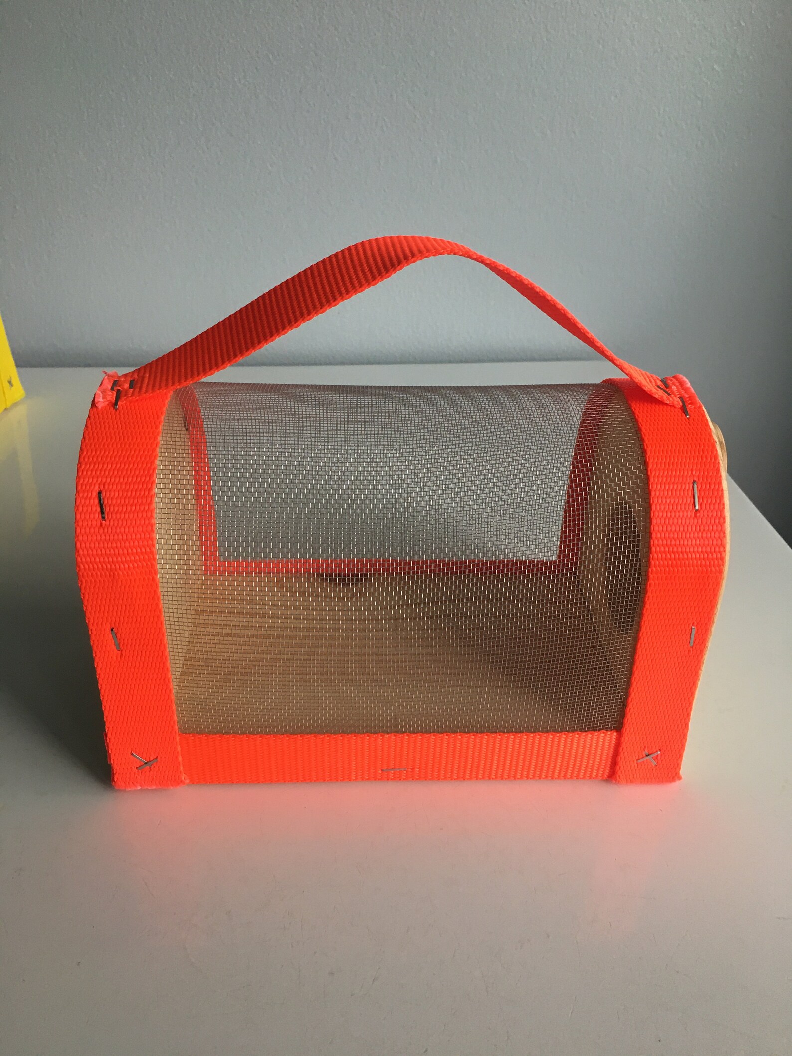 Handmade Insect Bug Wooden Box Outdoor Exploration Yellow Blue - Etsy