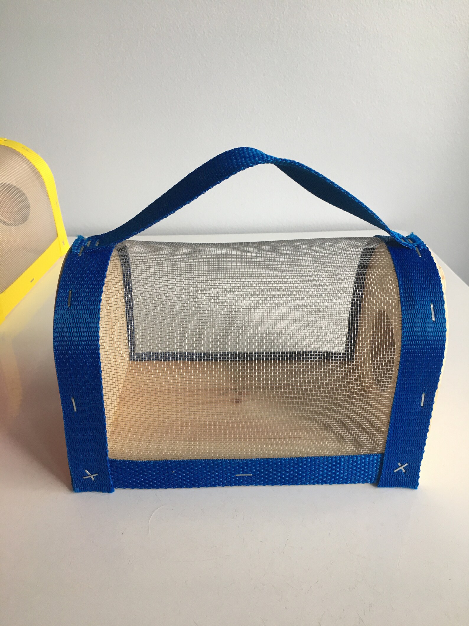 Handmade Insect Bug Wooden Box Outdoor Exploration Yellow Blue - Etsy