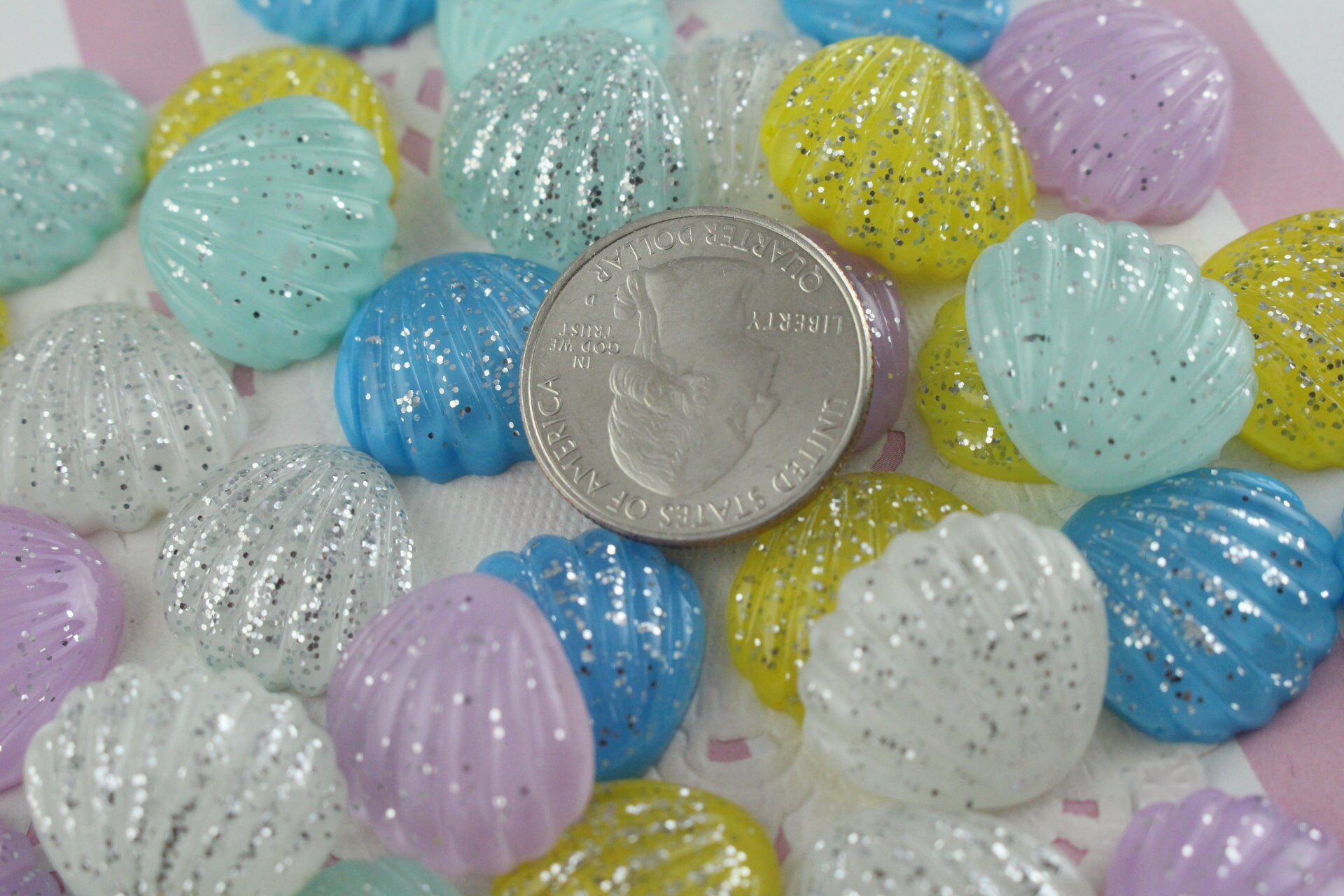 5pc Small Glitter Sea Shells Flatback Cabochons 349 | Etsy