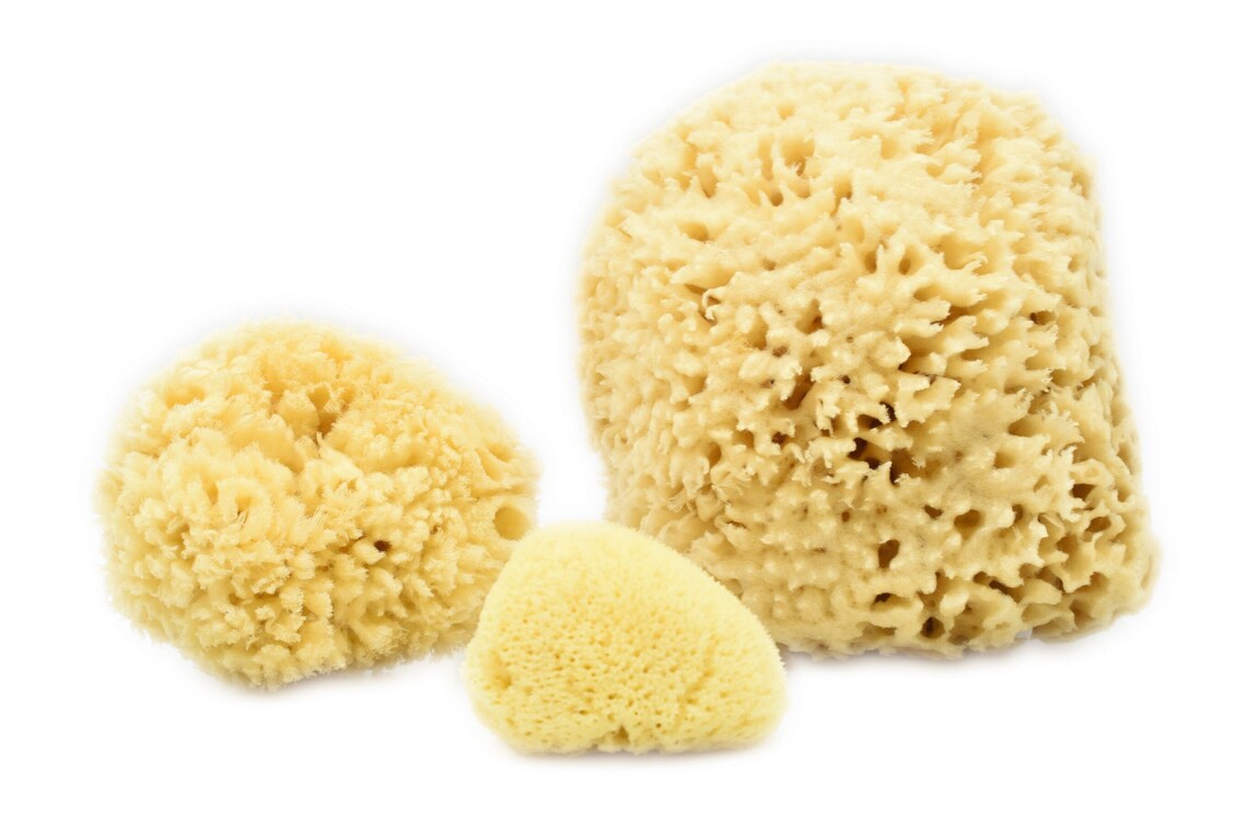 Natural Sea Sponge | Premium Sheepswool - Etsy